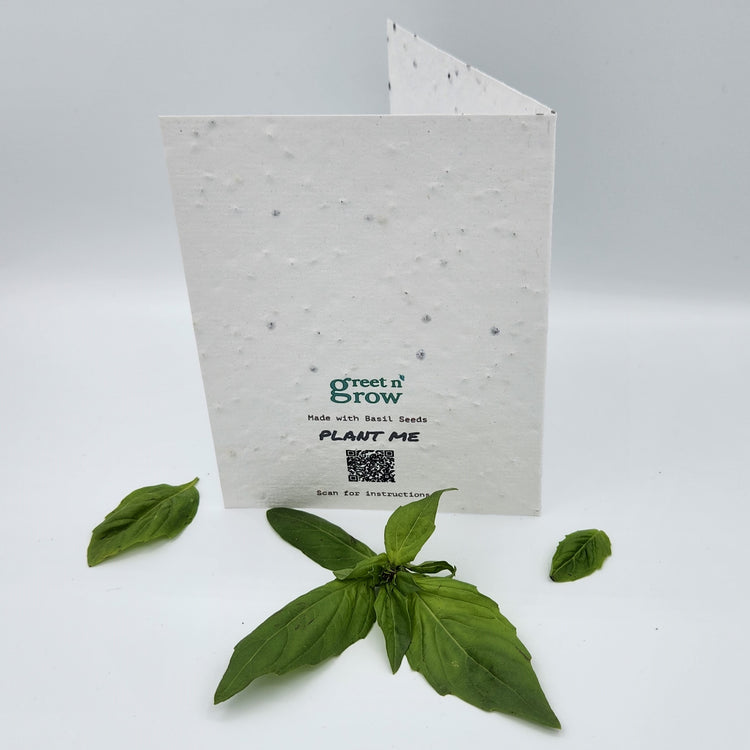 Plantable Seed Paper Cards - How to Plant Seed Paper - How to Grow ...