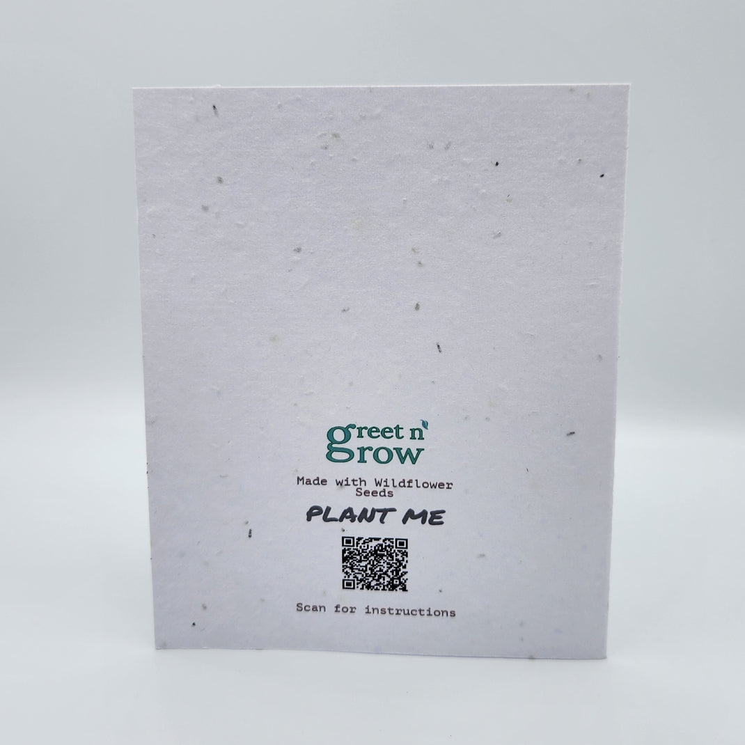 Plantable Seed Paper Cards - How to Plant Seed Paper - How to Grow ...